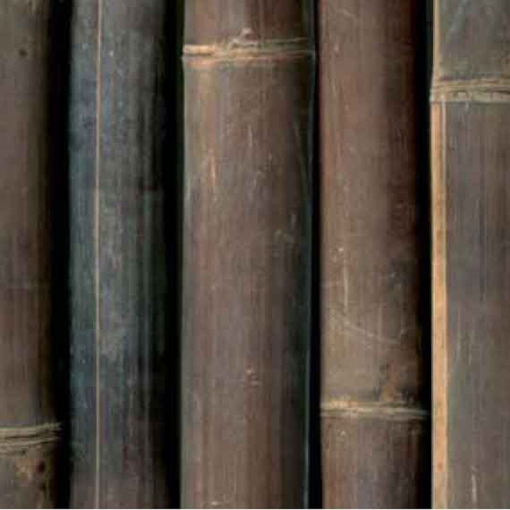 Cañas bambú Wulung — Dbambu